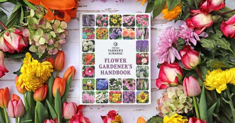 Flower Gardener's Handbook - Perennials, Biennials, and Annuals